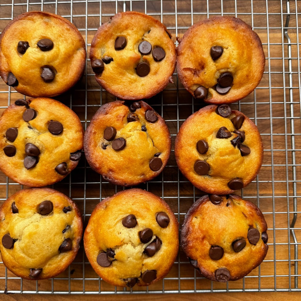 Kid Friendly Protein Muffins - Daddio's Kitchen